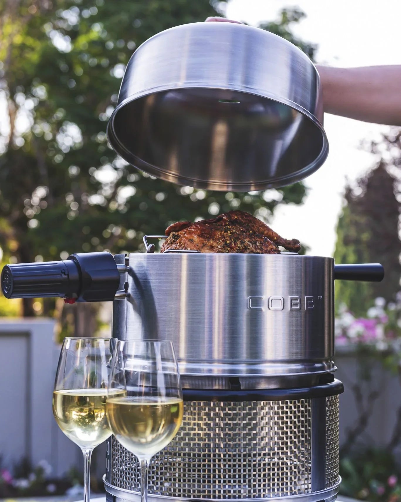 Which COBB Grill Is Right for You? Find Your Perfect Match for Every O